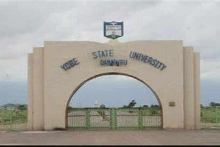 MSSN Yobe State University Bans Overnight Stay in Campus Mosques ...