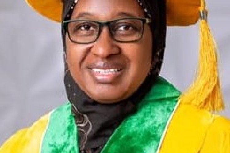 NSUK VC Prof Liman Commends Gov. Sule for Prioritizing Education in ...