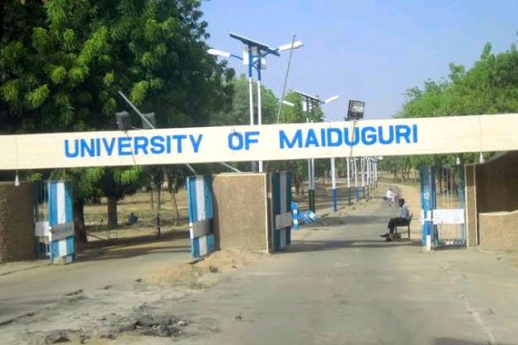 University of Maiduguri Issues Staff Gate Pass Cards - Myschoolnews