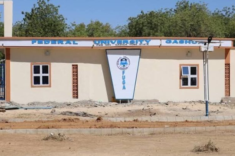 Federal University Gashua Releases First Batch of 2024/2025 Admission ...