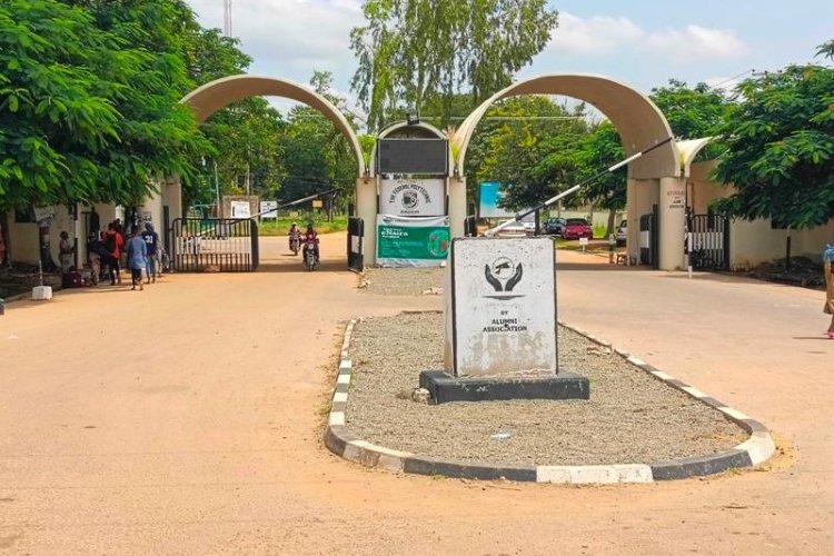 Federal Polytechnic Bauchi/UNIMAID Releases Degree Programme Admission ...