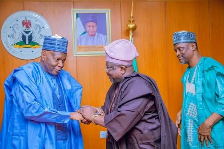 Gombe State Governor Hails FG for Approving Degree Programs at FCE (T ...