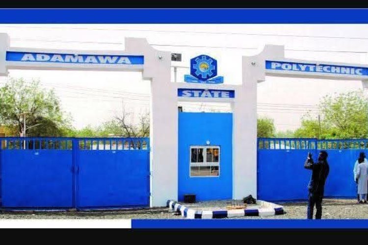 Adamawa State Polytechnic Students Block School Gates Over Prolonged ...