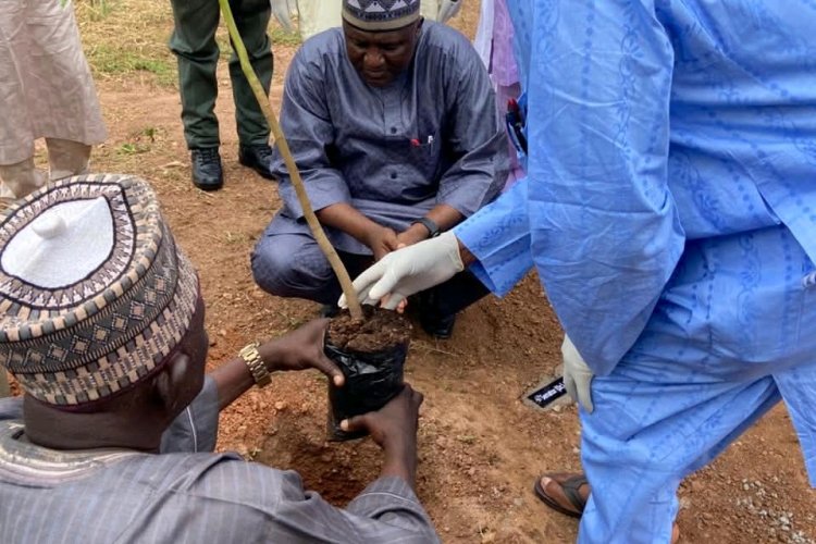 Phoenix University Agwada Celebrates World Environment Day 2025 ...