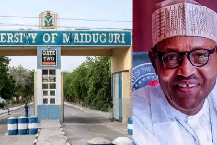 University of Maiduguri Renaming Sparks Controversy - Myschoolnews