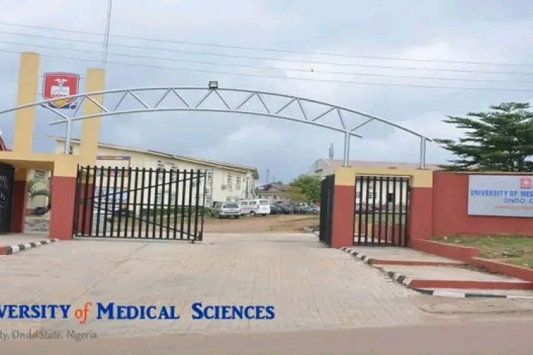 UNIMED Opens Postgraduate Admission for 2025-2026 Academic Session ...
