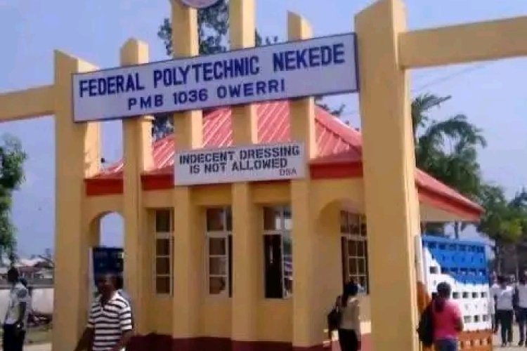 Federal Poly Nekede Admission List for 2025/2026 Session on JAMB CAPS ...
