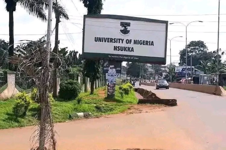 University of Nigeria, Nsukka (UNN) Announces 236th Inaugural Lecture ...